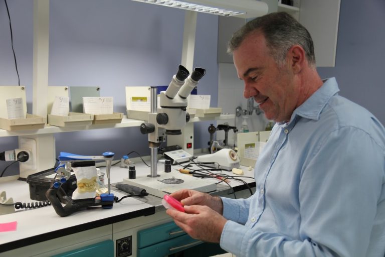 Dr Steven Frew — Palmerston Road Denture Clinic - Hornsby